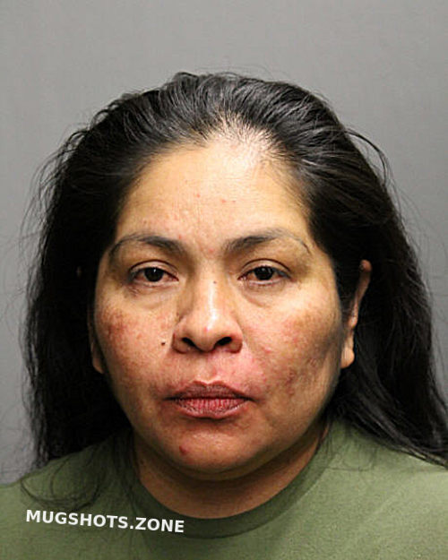 SANDRA A VITAL 11/24/2022 - Chicago Mugshots Zone