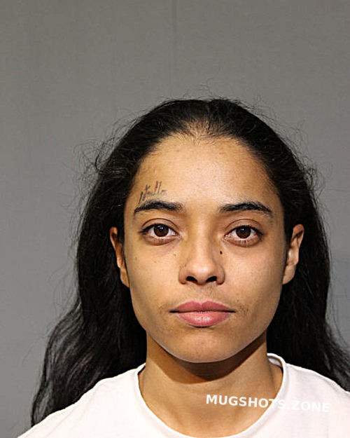 ESTRELLA A SANTANA 11/28/2022 - Chicago Mugshots Zone