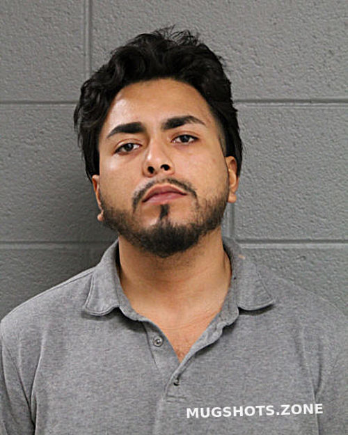 ANGELO G MANZO 11/28/2022 - Chicago Mugshots Zone