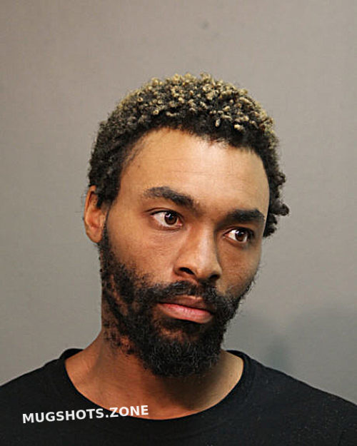 DEVIN EMIL ANDERSON 12/06/2022 - Chicago Mugshots Zone