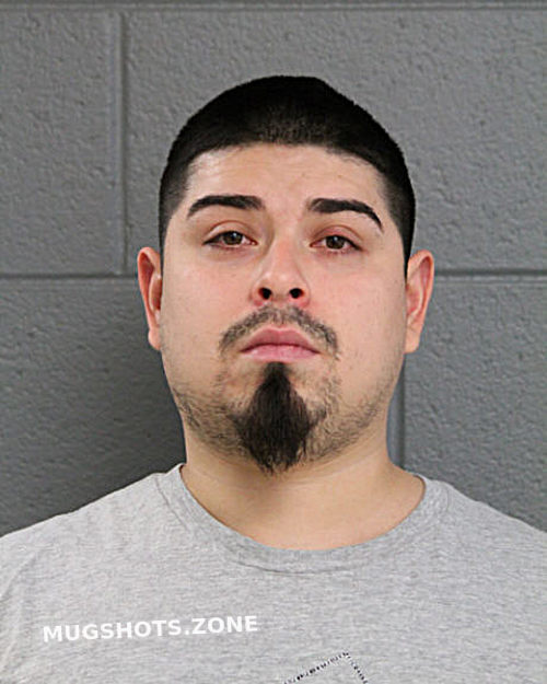 ANDY GARCIA 12/13/2022 - Chicago Mugshots Zone