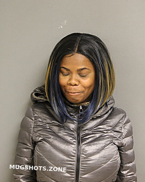 JEAN M WHITE 12/17/2022 - Chicago Mugshots Zone