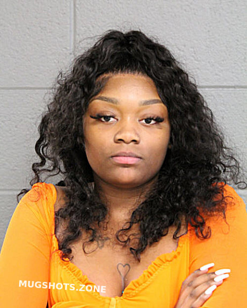 RENEE S STANFORD 01/01/2023 - Chicago Mugshots Zone