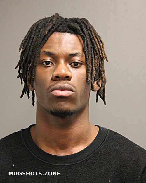 NATHAN RYAN PALMER 01/11/2023 - Chicago Mugshots Zone