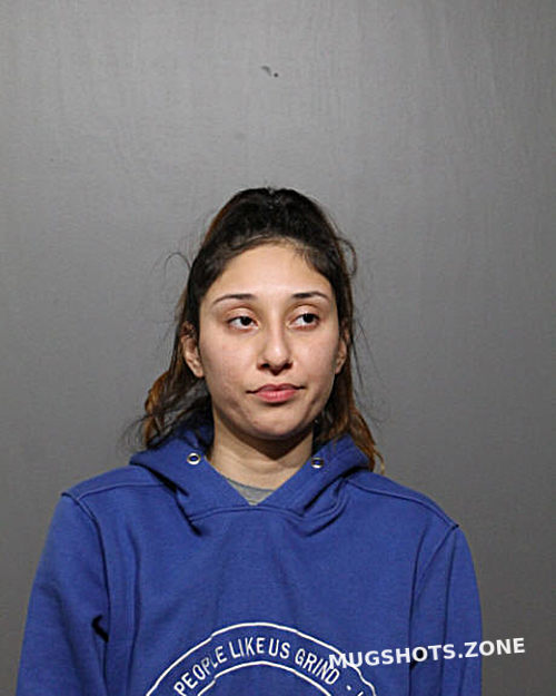 DAISY E CARRILLO 01/12/2023 - Chicago Mugshots Zone
