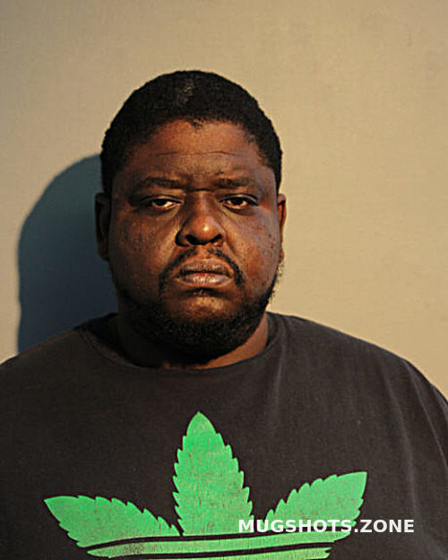 JAMIE L JOHNSON 01/13/2023 - Chicago Mugshots Zone