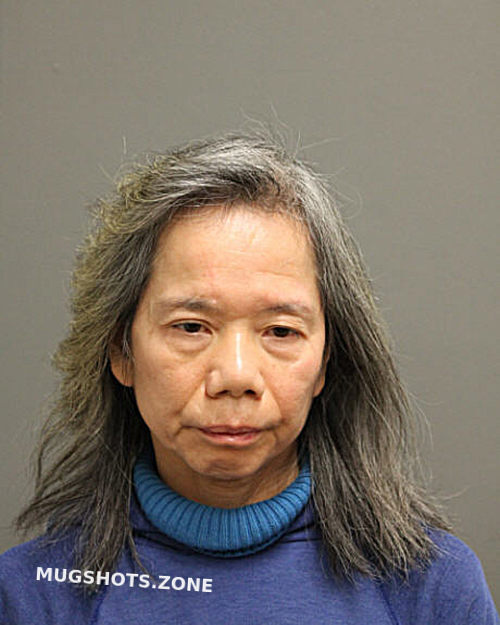 ELLEN R FONG 01/20/2023 - Chicago Mugshots Zone