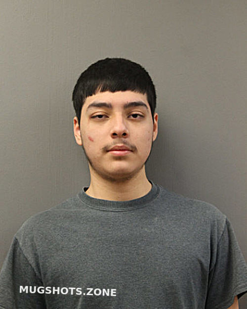 EDWIN JESUS DIAZ 02/05/2023 - Chicago Mugshots Zone