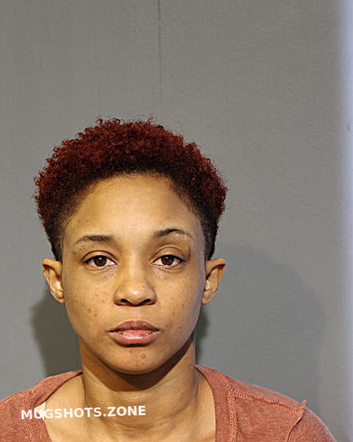 DOMINIQUE SHAMESE CASTON 02/13/2023 - Chicago Mugshots Zone