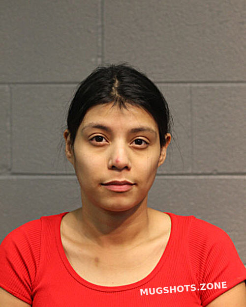 SOCHIL SANCHEZ ROBLES 02/14/2023 - Chicago Mugshots Zone