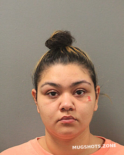 OLIVIA T ROMAN 02/26/2023 - Chicago Mugshots Zone