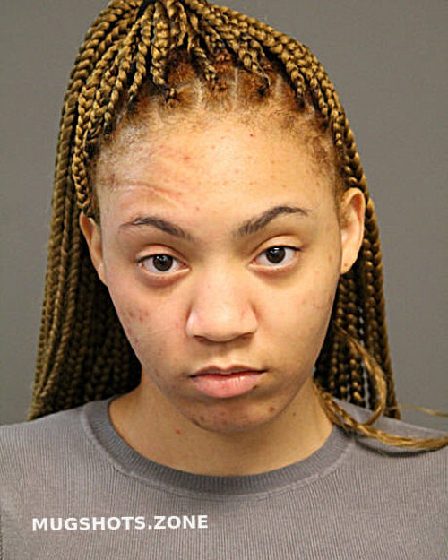 ERIN ELAINE LEWIS 03/02/2023 - Chicago Mugshots Zone