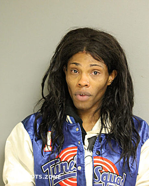 DESTINI JONES 03/04/2023 - Chicago Mugshots Zone