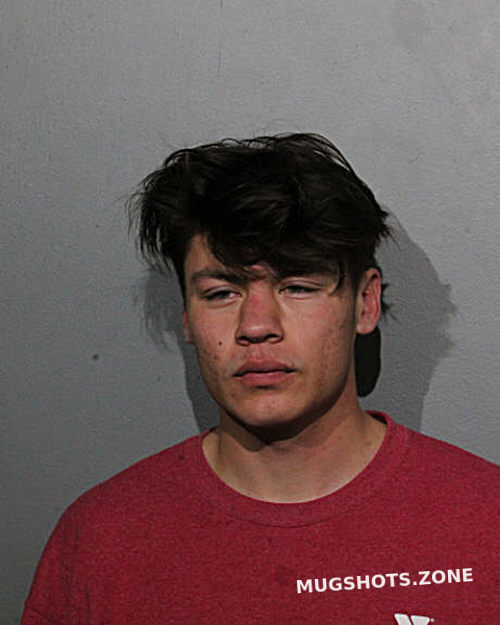 PATRICK M NELSEN 03/05/2023 - Chicago Mugshots Zone