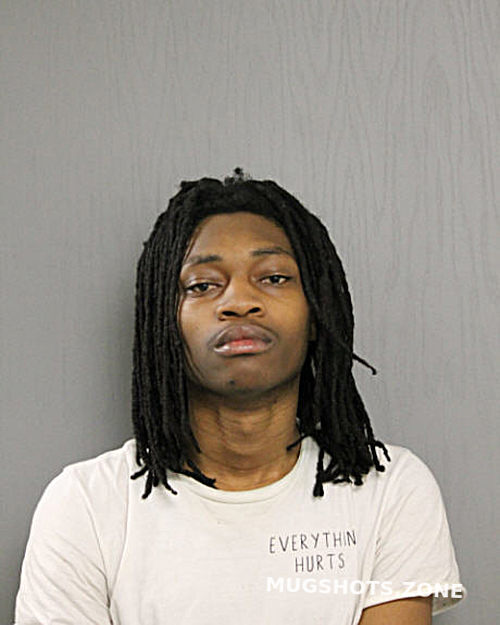 BRANDON D DAVIS 04/01/2023 - Chicago Mugshots Zone