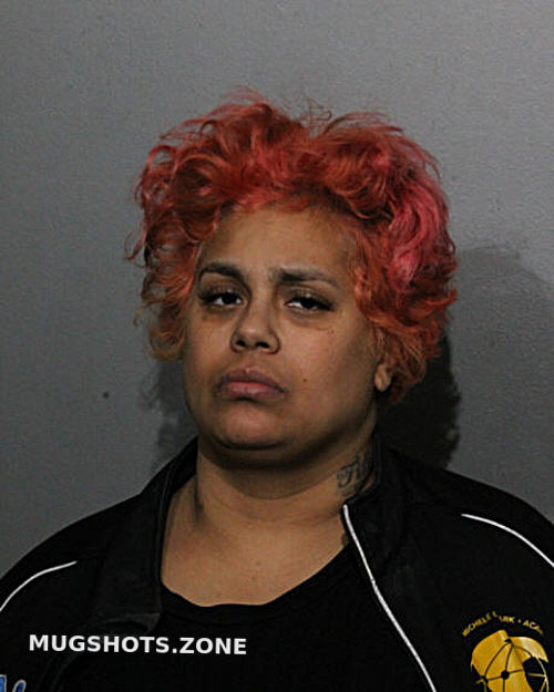 MARIA Y GONZALEZ 04/03/2023 - Chicago Mugshots Zone