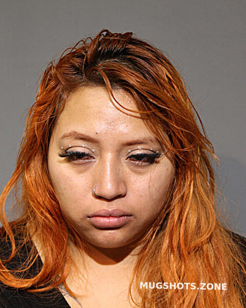 ERIKA M LOJA 04/04/2023 - Chicago Mugshots Zone