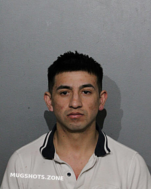 JOHNNY ROBINSON JIMENEZ JIMENEZ 04/12/2023 - Chicago Mugshots Zone