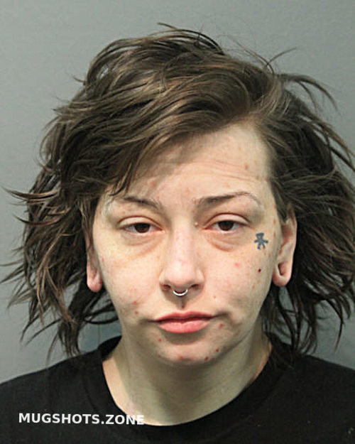 BRANDI N SISSON 04/13/2023 - Chicago Mugshots Zone