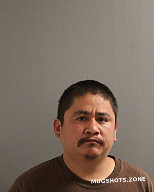 JESUS TORRES MOLINA 04/18/2023 - Chicago Mugshots Zone