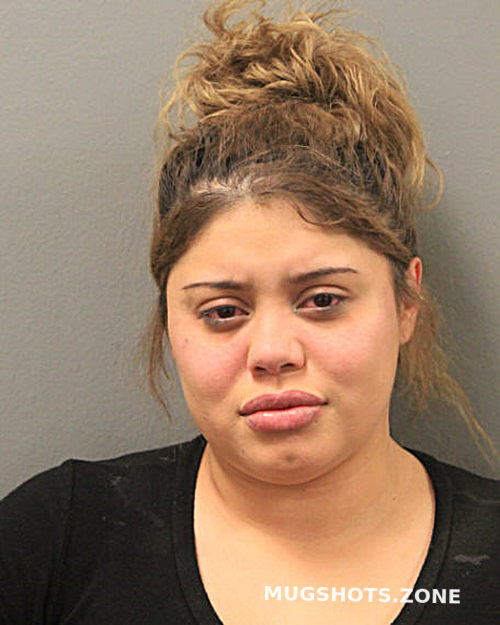 ALISA K DOMINGUEZ 04/18/2023 - Chicago Mugshots Zone