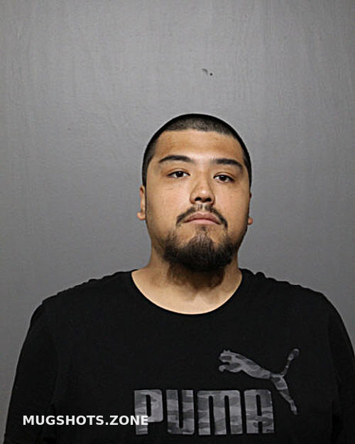 JAMES GRZESKOWIAK 05/09/2023 - Chicago Mugshots Zone JAMES GRZESKOWIAK 05/09/2023 - Chicago Mugshots Zone
