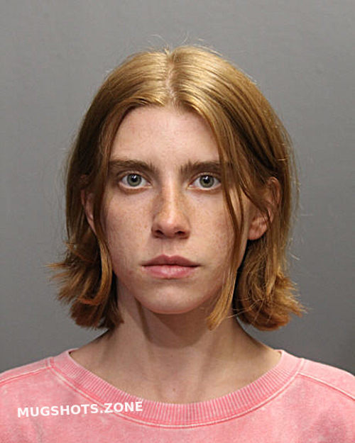 HAYDEN HUGHES 06/02/2023 - Chicago Mugshots Zone