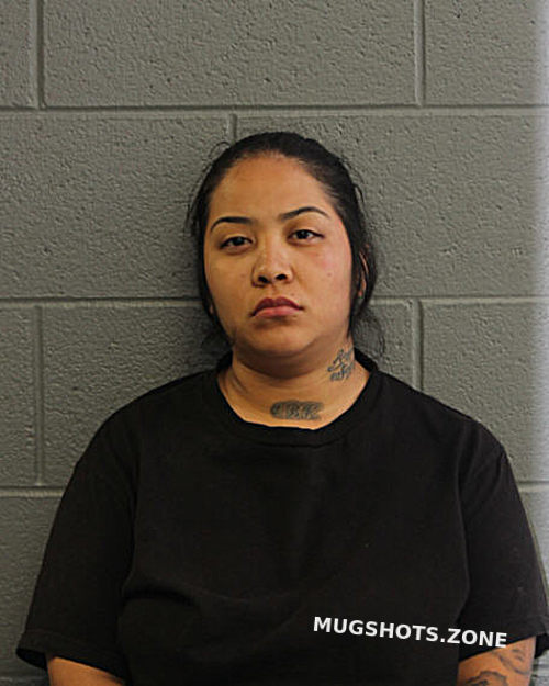 MARISOL MEZA 06/04/2023 - Chicago Mugshots Zone