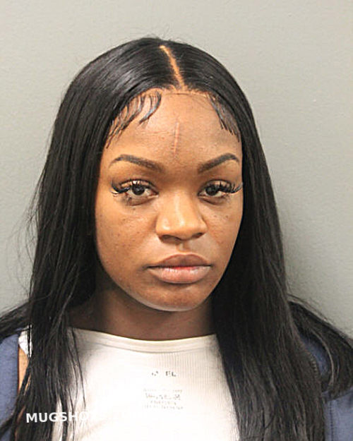 ALEAHA J ANDERSON 06/13/2023 - Chicago Mugshots Zone