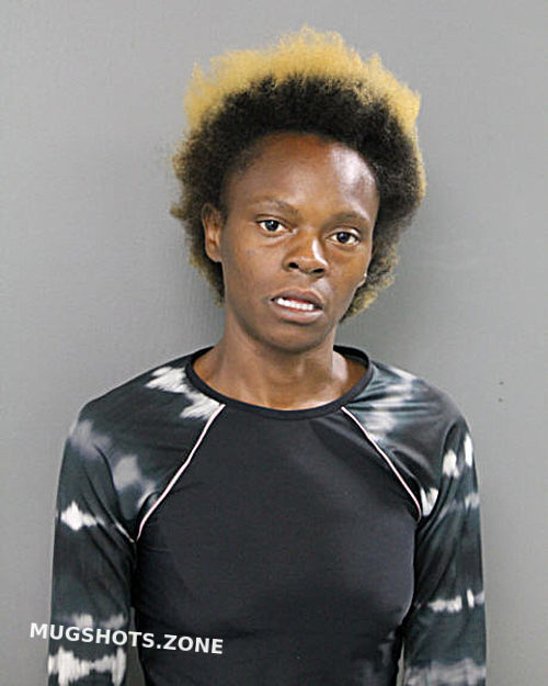 RAYVEN E HARRIS 06/20/2023 - Chicago Mugshots Zone