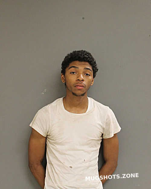 PARIS FOSTER 06/24/2023 - Chicago Mugshots Zone