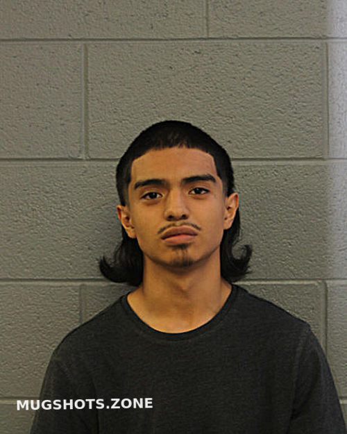 ELMER JOSHUA ALVAREZ 07/04/2023 - Chicago Mugshots Zone