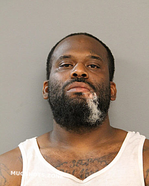 TIMOTHY D MCNUTT 07/05/2023 - Chicago Mugshots Zone