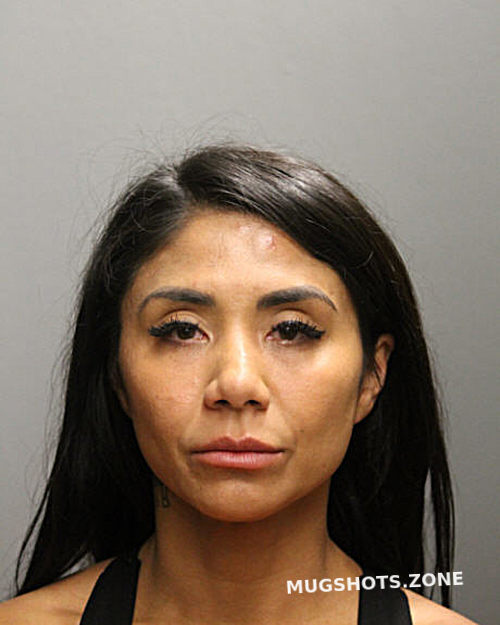 CANDICE M DEE 07/07/2023 - Chicago Mugshots Zone