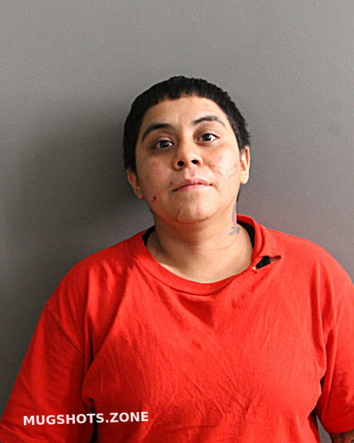 DESTINY GONZALEZ 07/25/2023 - Chicago Mugshots Zone
