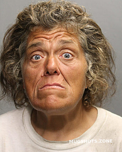 TRACEY R ALDRIDGE 08/02/2023 - Chicago Mugshots Zone
