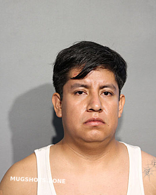 SERGIO GONZALEZ LOPEZ 08/06/2023 - Chicago Mugshots Zone