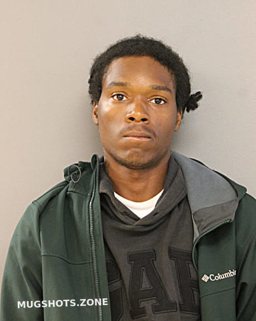 JAMIE PIRTLE 08/09/2023 - Chicago Mugshots Zone