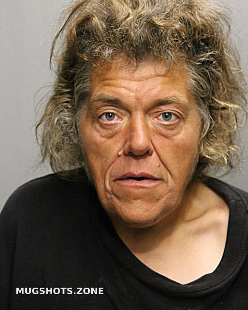 TRACEY R ALDRIDGE 08/09/2023 - Chicago Mugshots Zone