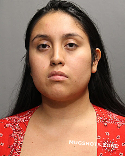 ANA A GALICIA CASTILLO 08/11/2023 - Chicago Mugshots Zone