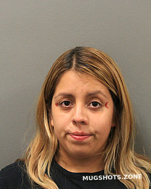 MARIA SANCHEZ 08/13/2023 - Chicago Mugshots Zone