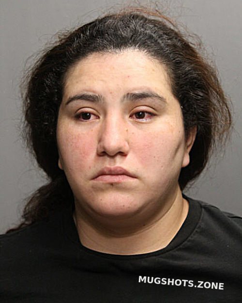 CLAUDIA JEANMILLETTE ANDALUZ RIVERA 08/14/2023 - Chicago Mugshots Zone