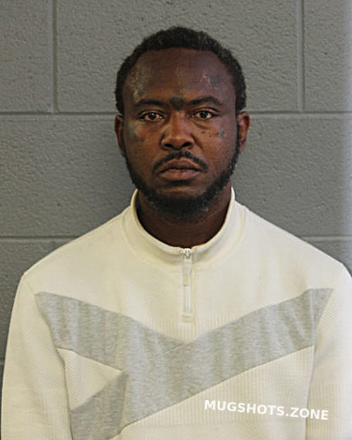 TIMOTHY L JOHNSON 08/15/2023 - Chicago Mugshots Zone