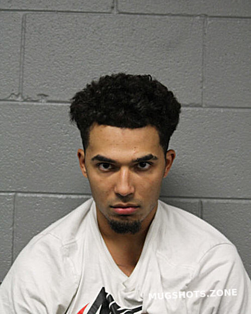 LOGAN A ATKINS 08/19/2023 - Chicago Mugshots Zone