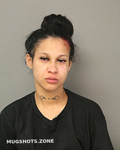 DESTINY TORRUELLA 08/19/2023 - Chicago Mugshots Zone