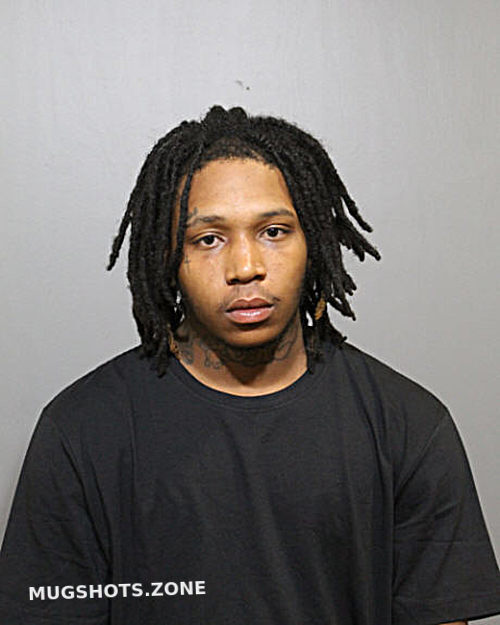 RICHARD R ANDERSON 08/20/2023 - Chicago Mugshots Zone