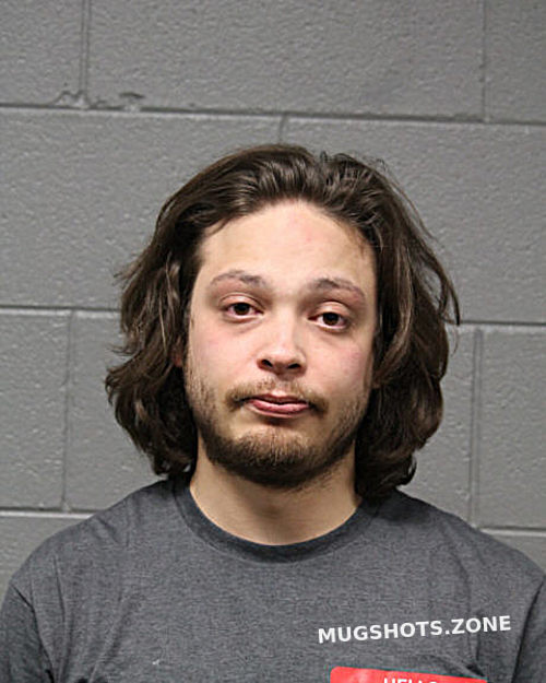 JASON S FLAM 08/27/2023 - Chicago Mugshots Zone