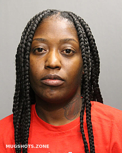 ASHLEY C DAVIS MCNEIL 08/27/2023 - Chicago Mugshots Zone