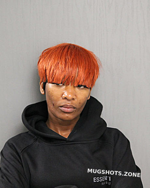 TERRI L BACKSTROM 08/28/2023 - Chicago Mugshots Zone