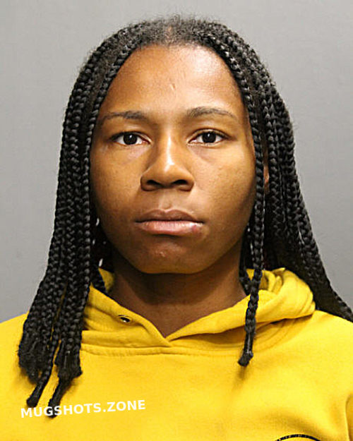 PARIS TURNAGE 09/07/2023 - Chicago Mugshots Zone